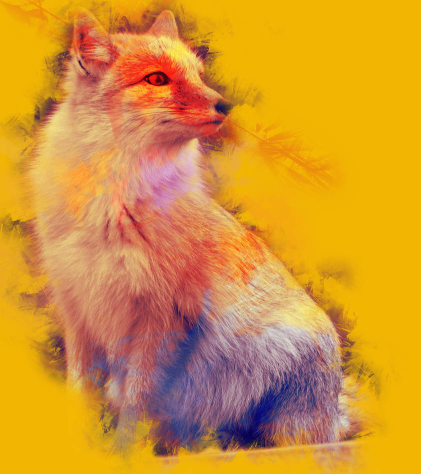 Corsac Fox By 0l Fox L0 On Deviantart