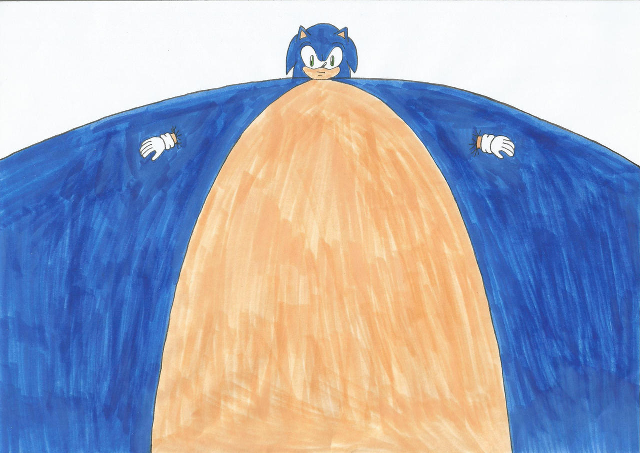 Commission Sonic The Hedgehog Inflation By Immanuellalissa On Deviantart