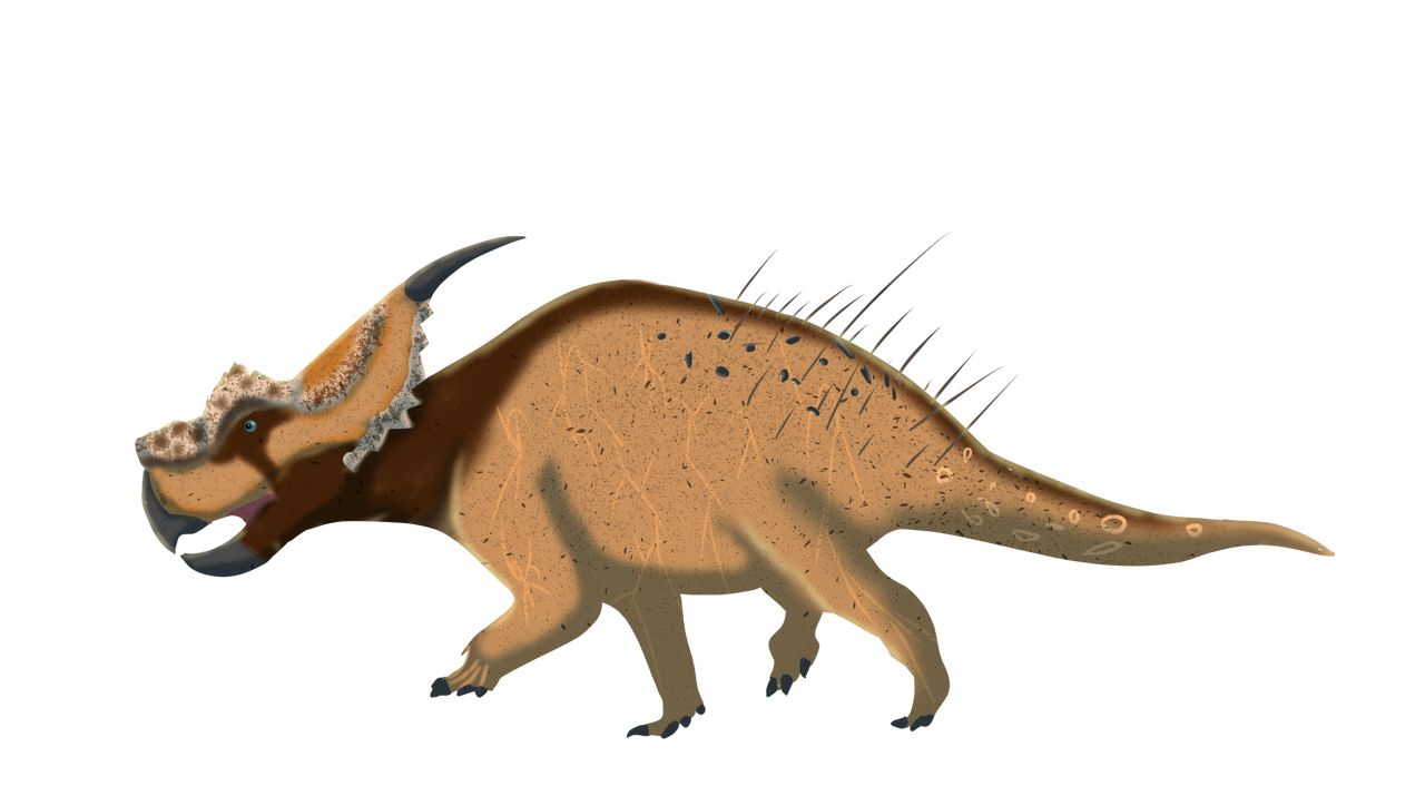 Achelousaurus Horneri by asetryjuk on DeviantArt Achelousaurus Horneri by asetryjuk on DeviantArt
