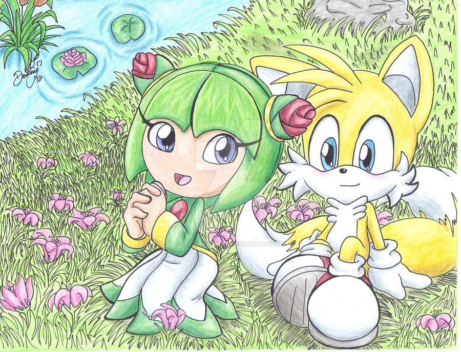 Tailsmo Cosmo Day By Gilgummybear On Deviantart