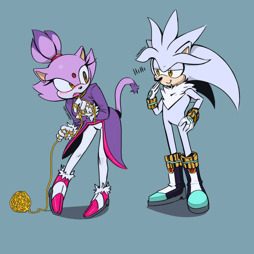 Silver X Blaze By Cross 96 On Deviantart