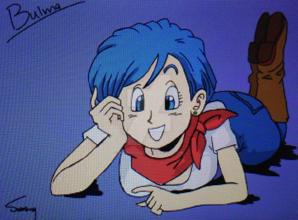 Bulma Briefs From Dragon Ball Series By Summyrulez27 On Deviantart