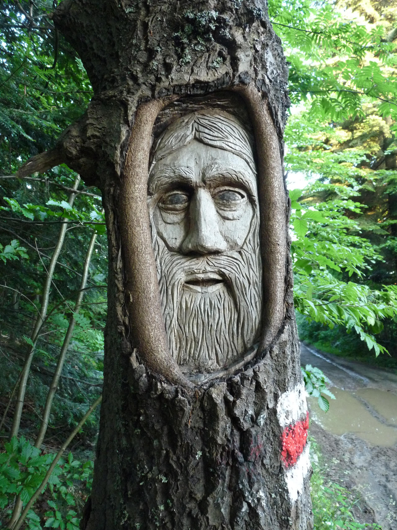 Treebeard By Jagoda6 On Deviantart