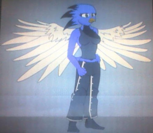 Bird Furry By Ratchet513 On Deviantart
