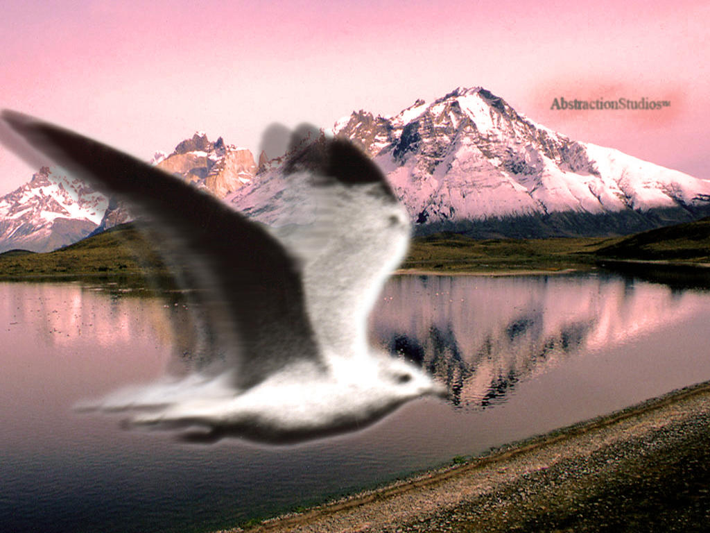 Wallpaper One by AbstractionStudios on DeviantArt