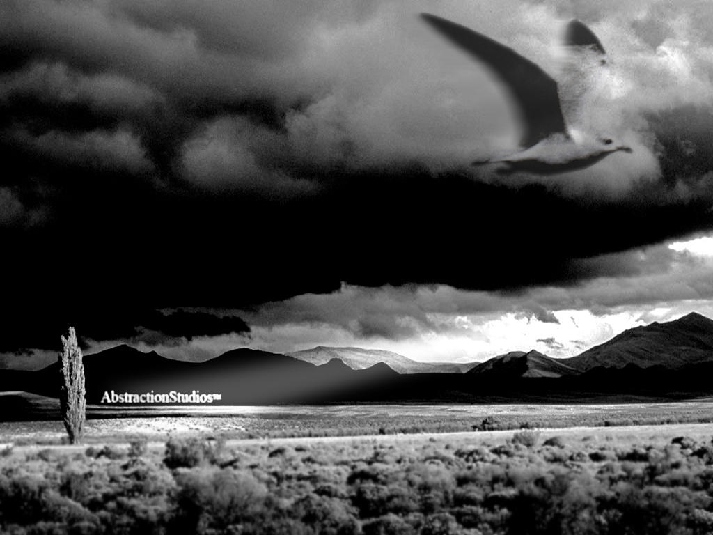 Wallpaper 2 by AbstractionStudios on DeviantArt