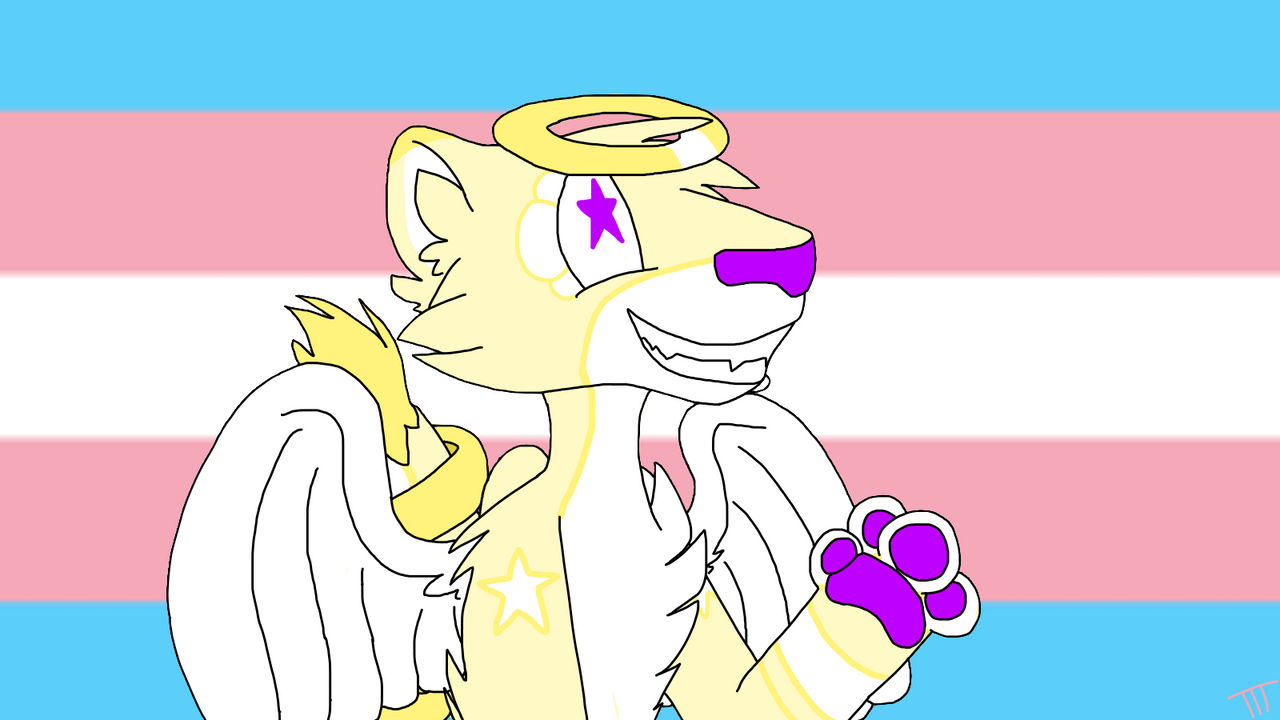 Transgender Pride Flag The Mercenaries By The Tan Tiger On Deviantart