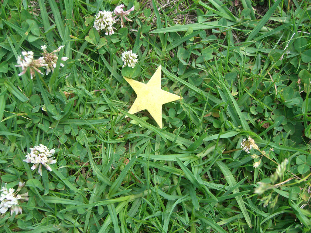 Star Grass By Amassparadox On Deviantart