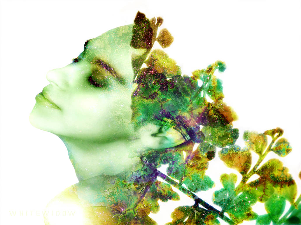 Seeking Nirvana by whitewid0w on DeviantArt