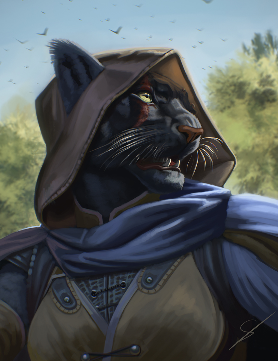 Khajiit Rogue By Dandzialf On Deviantart