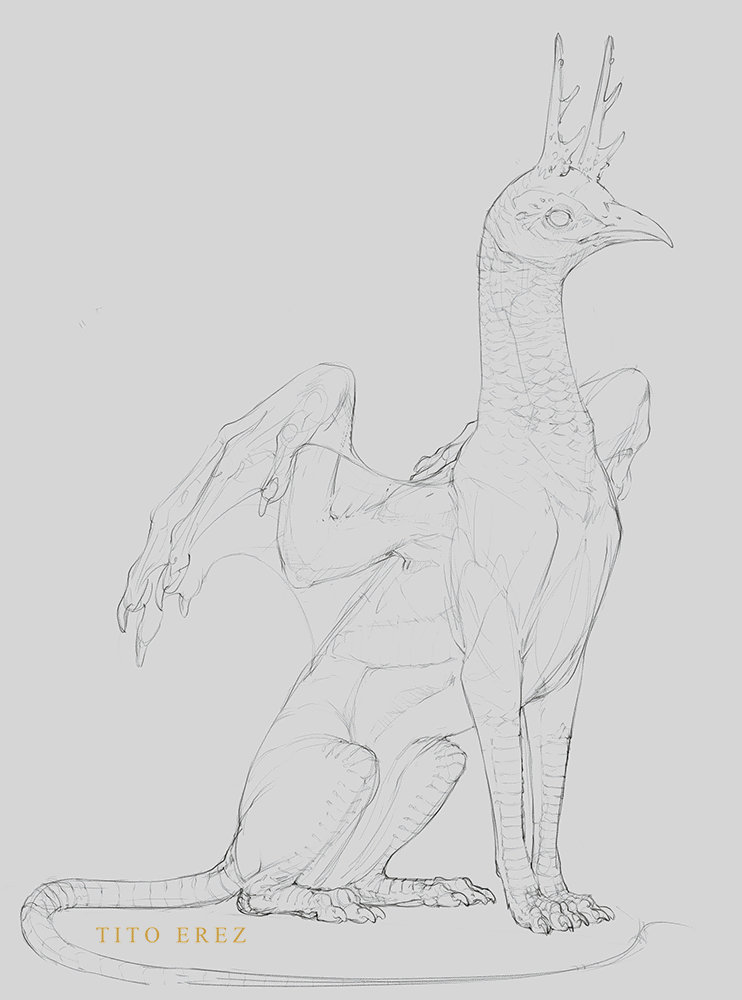Step By Step Golden Peacock By Tito Erez On Deviantart