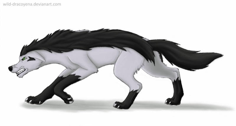 Zorro Remake by Wild-Dracoyena on DeviantArt Zorro Remake by Wild-Dracoyena on DeviantArt