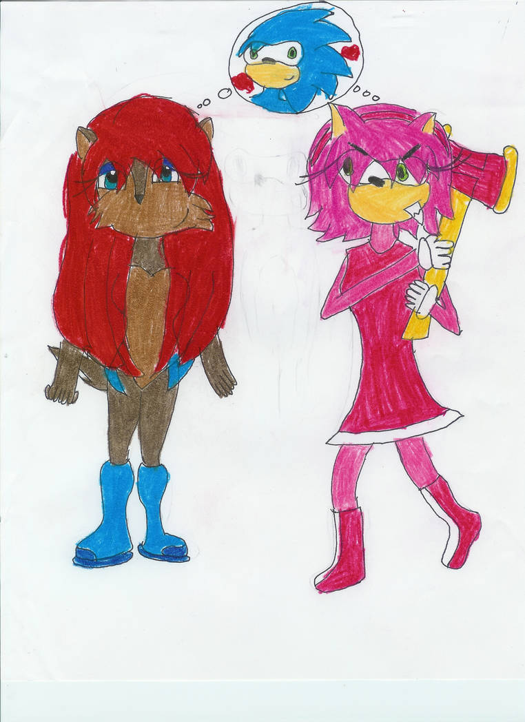 Sally And Amy Fight Over Sonic By Slimmychickens123 On Deviantart