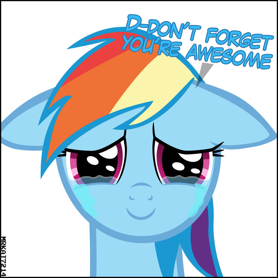 The End Rainbow Dash By Mrkat7214 On Deviantart