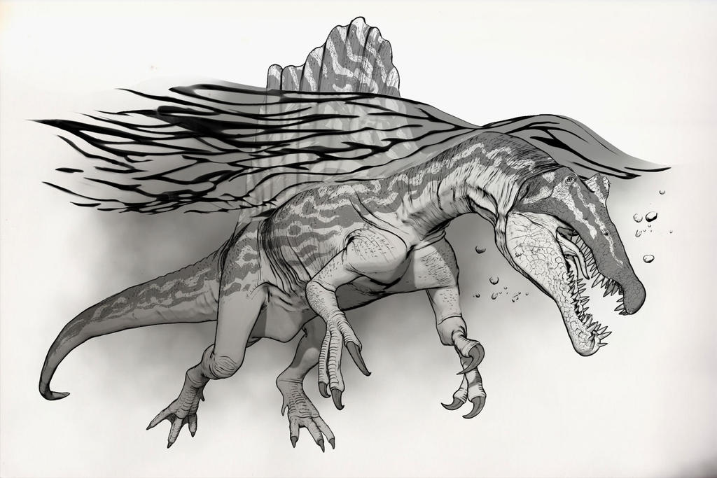 Draw Dinovember Day 13 Spinosaurus by daitengu on DeviantArt Draw Dinovember Day 13 Spinosaurus by daitengu on DeviantArt