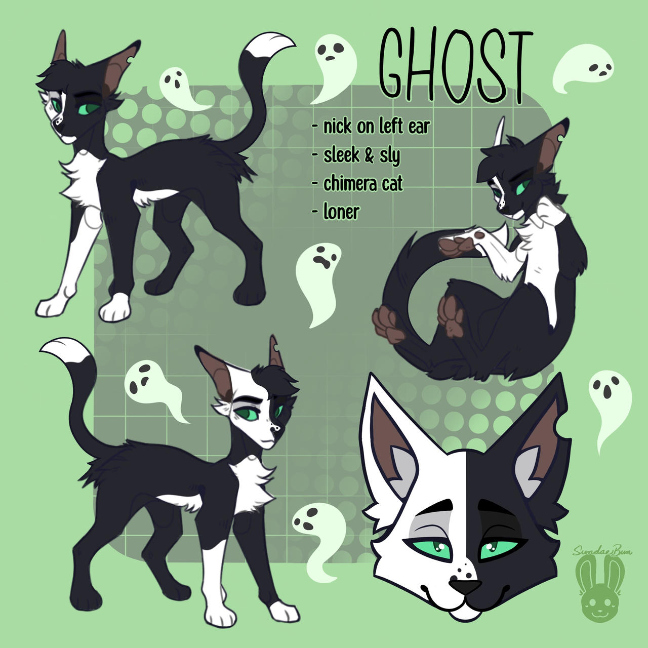 Ghost Character Sheet By Sundaebunart On Deviantart