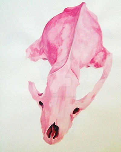 Fox Skull By Spsketchpad On Deviantart