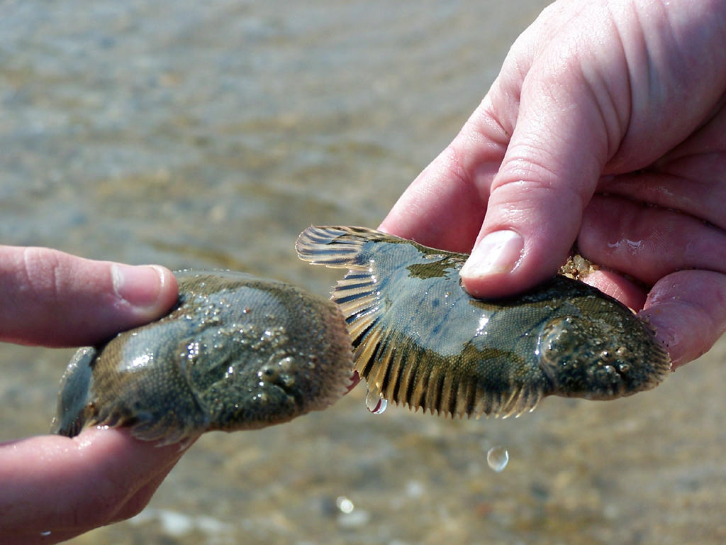 Real men fish with their hands by tontonhell on DeviantArt