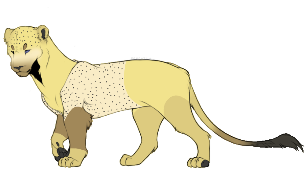 Lioness Cub As An Adult 3 By Badussian On Deviantart