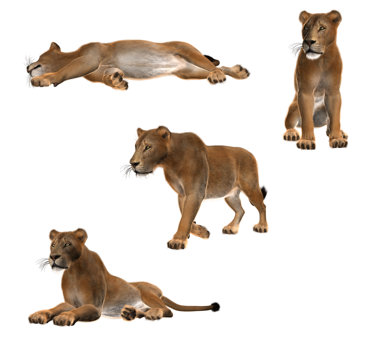 Furry Lioness Pack 2 By Direwrath On Deviantart