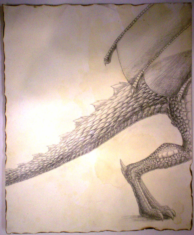 dragon body detail by SilverDrgnbane on DeviantArt