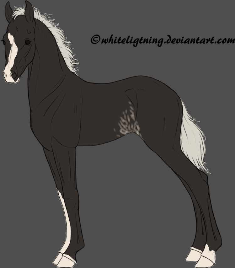 Storm Mocha Temporary Reference Sheet By Xvenomsparkx On Deviantart