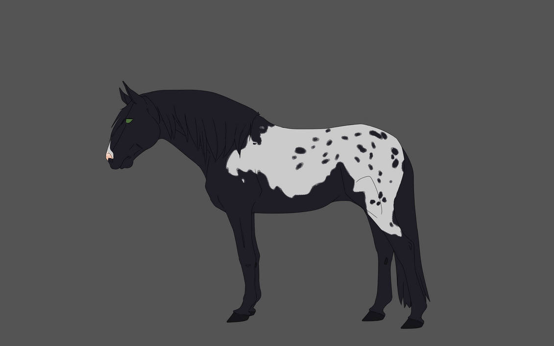 Bachinoki Temporary Reference Sheet By Xvenomsparkx On Deviantart