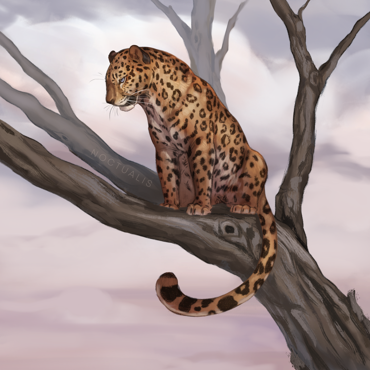 Jaguar In Tree By Noctualis On Deviantart