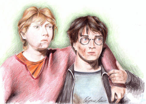 Harry-x-Ron User Profile | DeviantArt