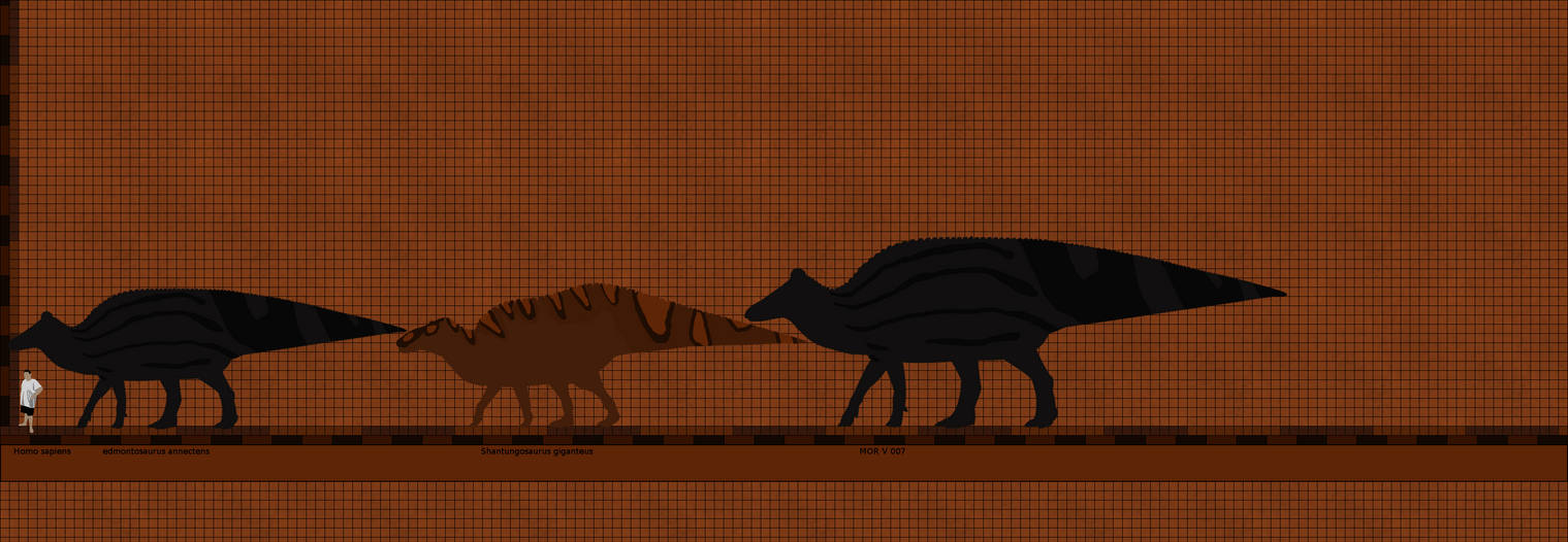 Really Big Edmontosaurus march 2 by Paleop on DeviantArt Really Big Edmontosaurus march 2 by Paleop on DeviantArt