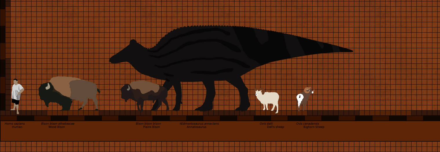 bovids and an edmontosaurus by Paleop on DeviantArt bovids and an edmontosaurus by Paleop on DeviantArt