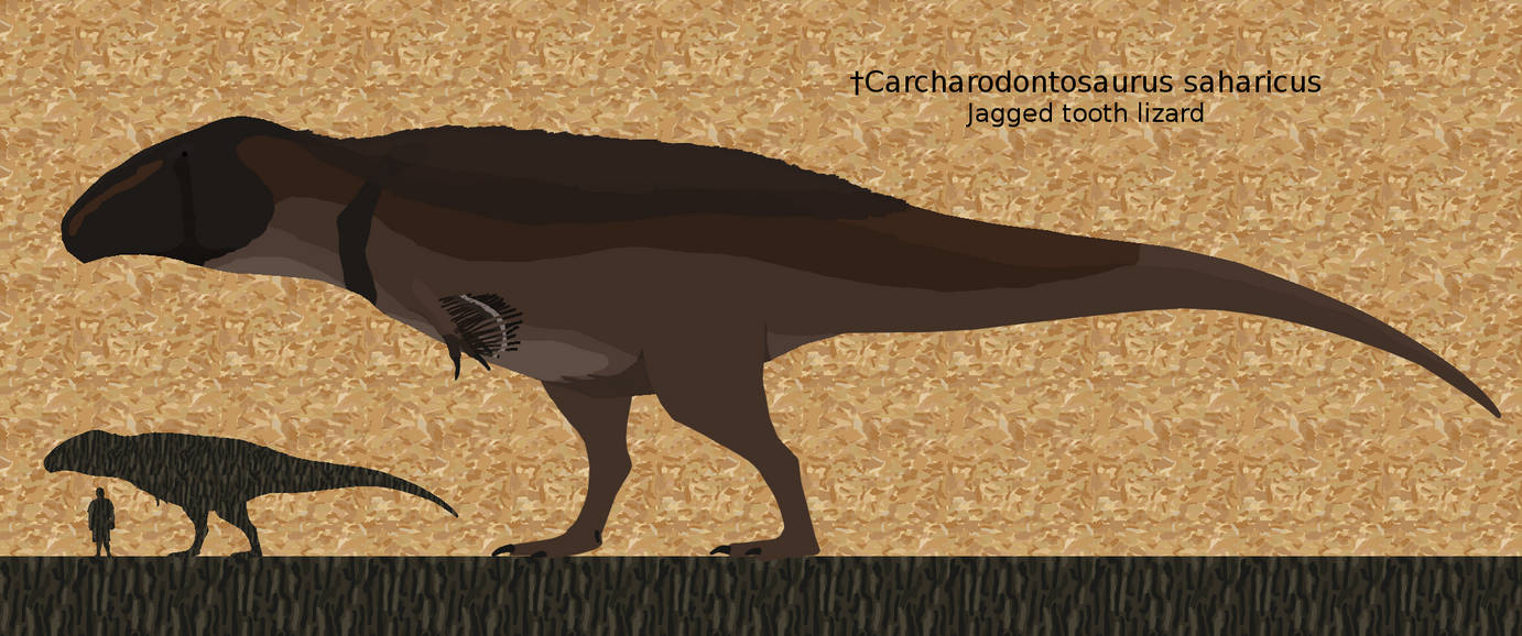 Carcharodontosaurus 9/23/16 by Paleop on DeviantArt Carcharodontosaurus 9/23/16 by Paleop on DeviantArt