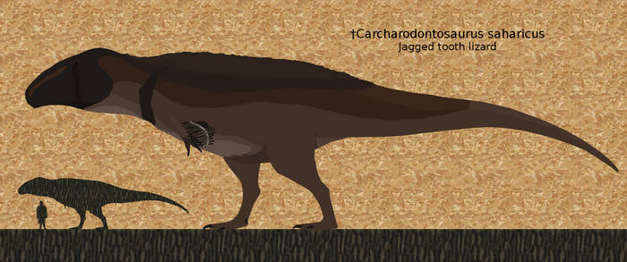 Explore the Best Carcharodontosaurus Art | DeviantArt Explore the Best Carcharodontosaurus Art | DeviantArt