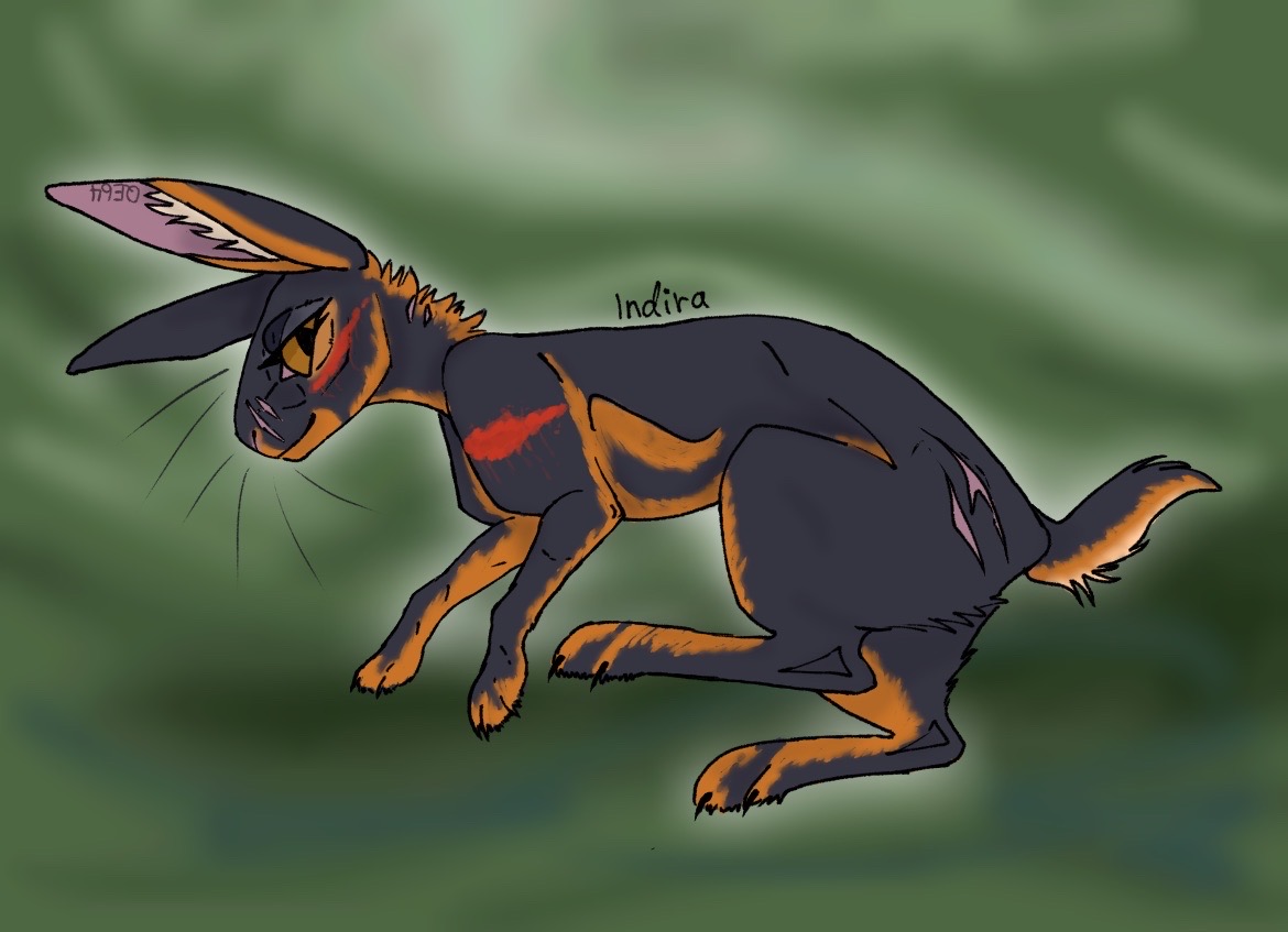 Silly Bunny By Warriorofthesouth On Deviantart