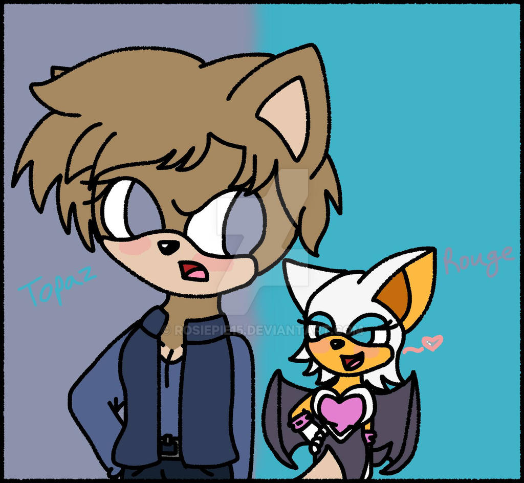 Sonic Shipping Rouge X Mobian Topaz By Rosiepie15 On Deviantart