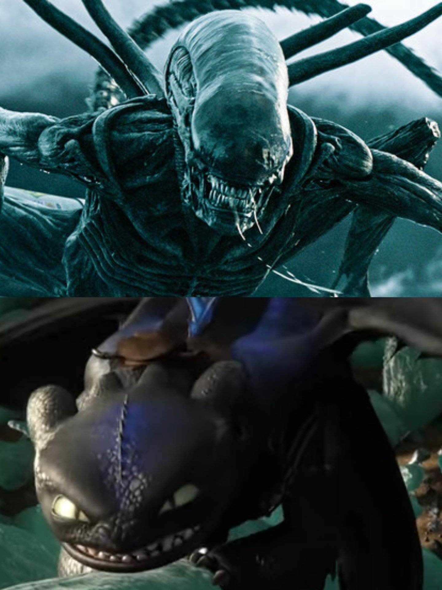 Toothless Faces the Xenomorph by BlueDreawings20888 on DeviantArt Toothless Faces the Xenomorph by BlueDreawings20888 on DeviantArt