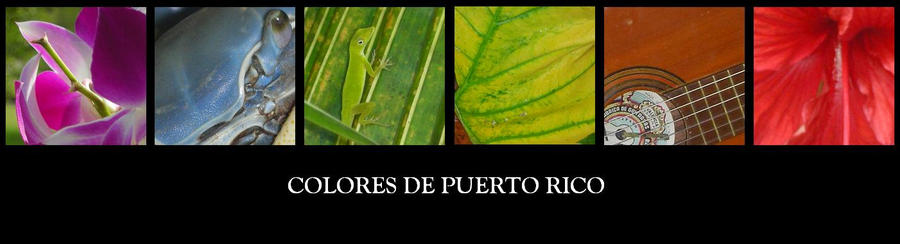 Colores de Puerto Rico by Coqui11379 on DeviantArt