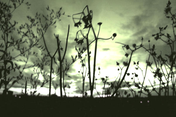 icy sky by aki-willow on DeviantArt