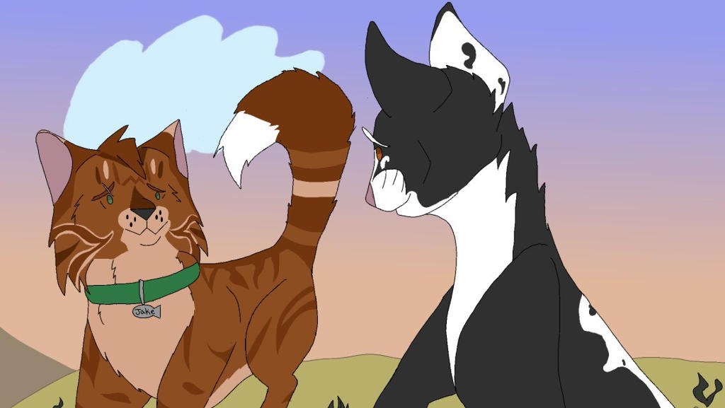 Talltail And Jake By Drawmation On Deviantart