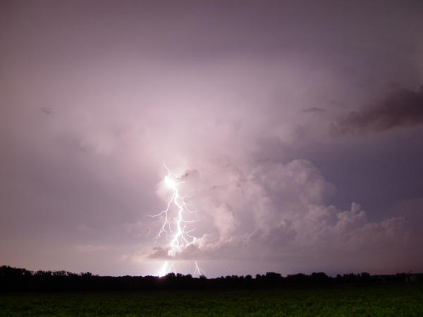 Lightning Number 5 by joecichlid on DeviantArt