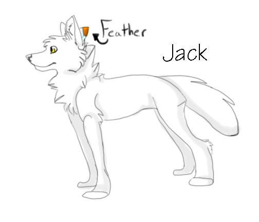 Jack Character Sheet. by takurashein on DeviantArt Jack Character Sheet. by takurashein on DeviantArt