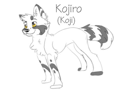 Kojiro Character Sheet by takurashein on DeviantArt Kojiro Character Sheet by takurashein on DeviantArt