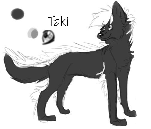 Taki Character Sheet by takurashein on DeviantArt Taki Character Sheet by takurashein on DeviantArt