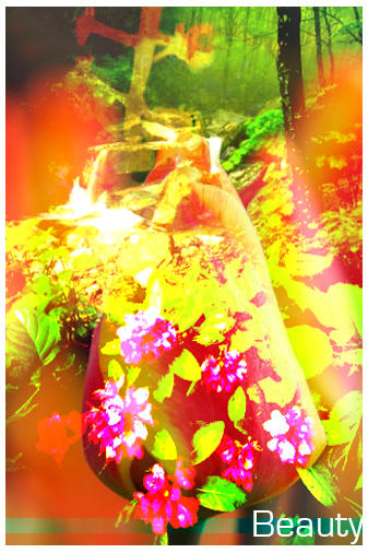 Beauty by distorted-images on DeviantArt