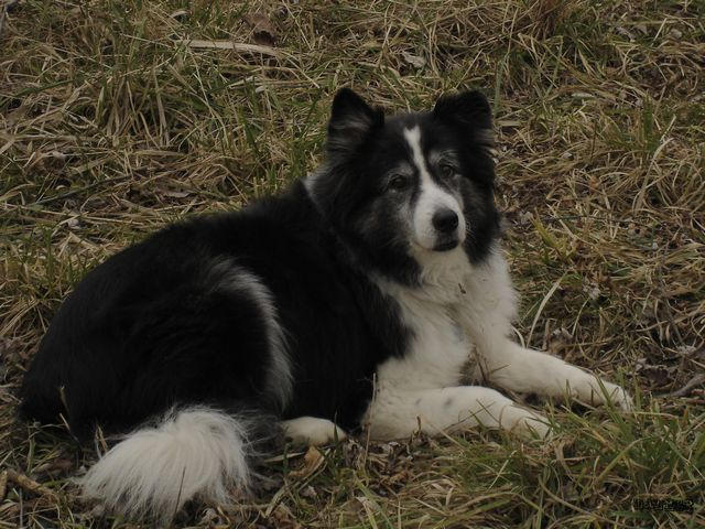 Kailey Rose Dahmer 1 by dahminator on DeviantArt