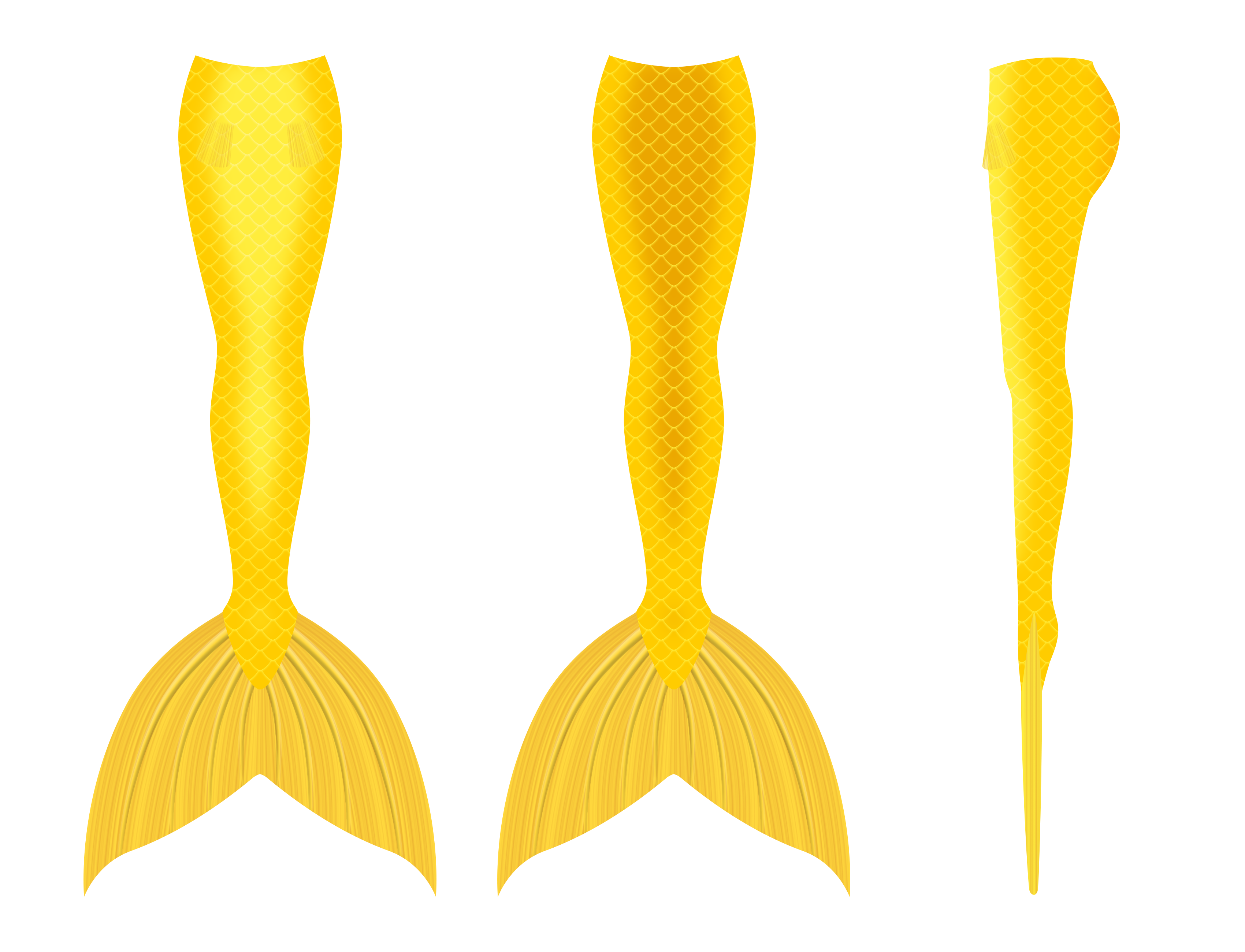 Mermaid Tail Design 5 Gold By Hydra1337 On Deviantart