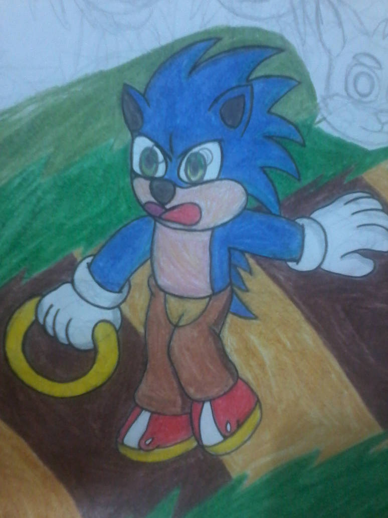Sonic In Kung Fu Panda Style By Lotdarkos On Deviantart