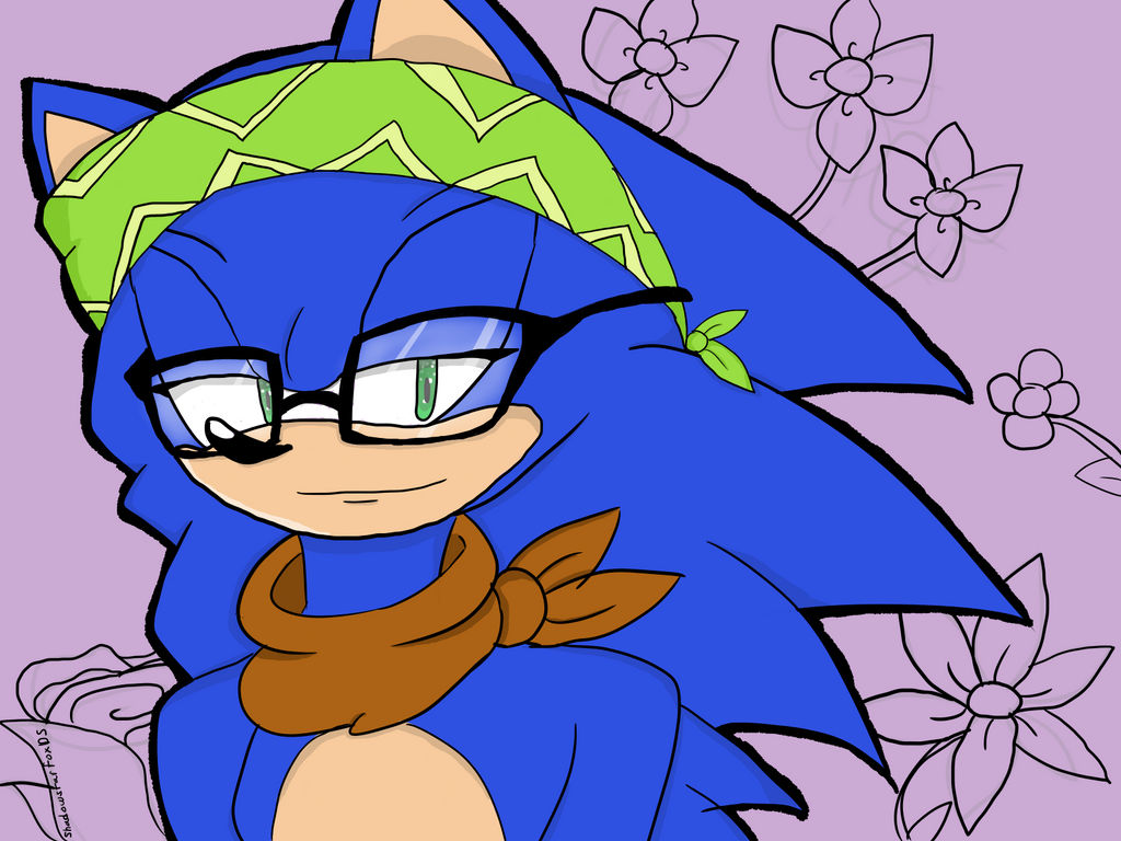 Hipster Sonic By Shadowstarfoxds On Deviantart