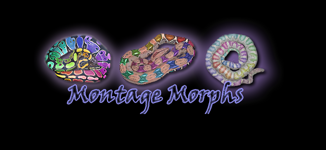 Montage Morphs By Tula Montage On Deviantart