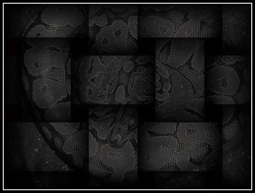 Royal Maze By Tula Montage On Deviantart